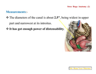 2.3 - The vagina (Yoni) PDF.pdf