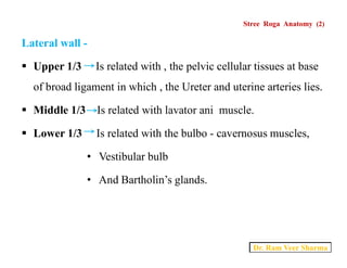 2.3 - The vagina (Yoni) PDF.pdf