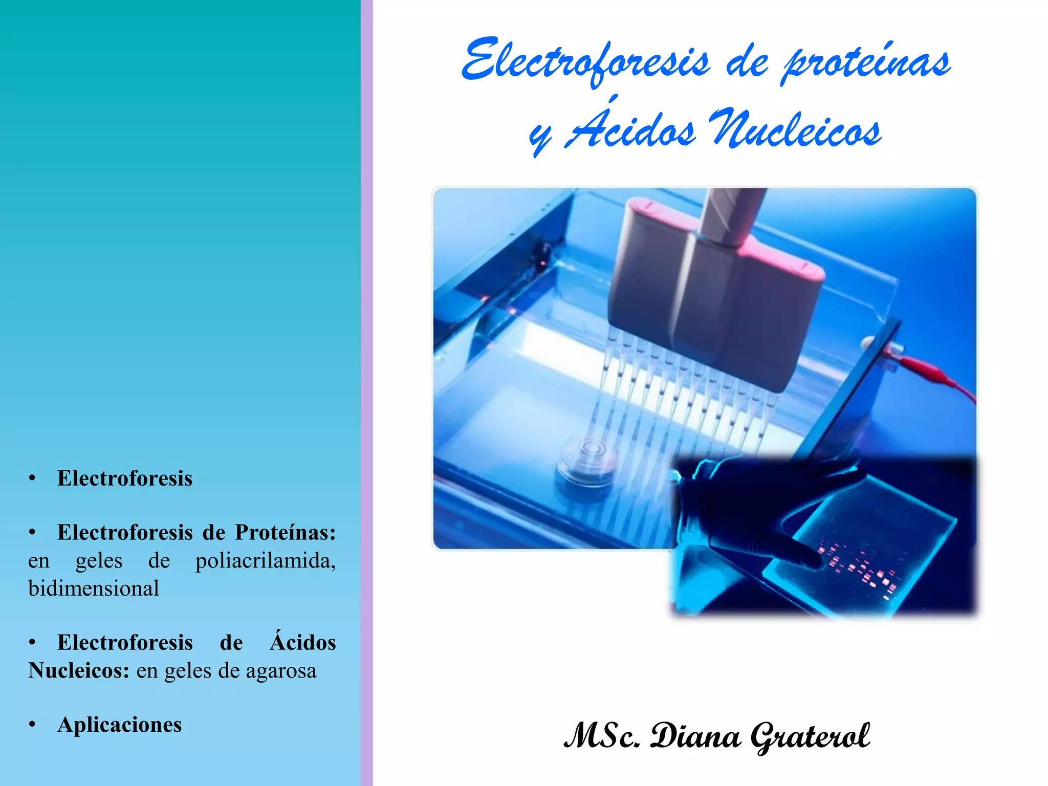 Electroforesis | PDF