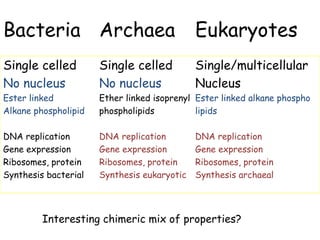 2. bacteria.ppt
