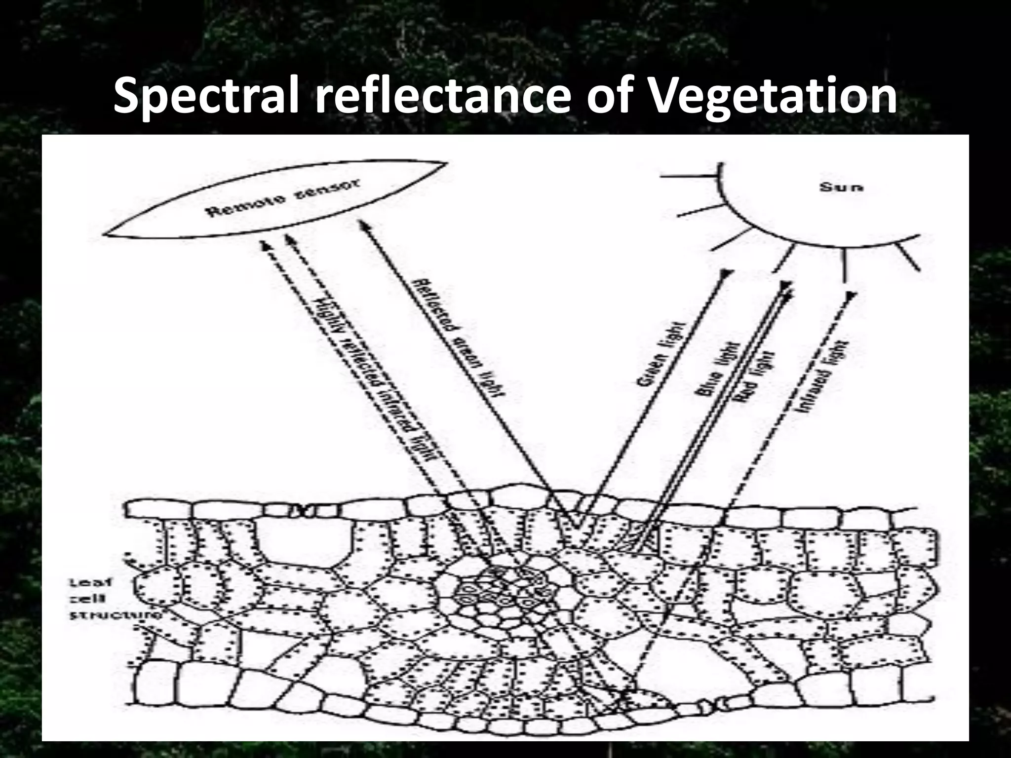 2. Spectral reflectance.pdf