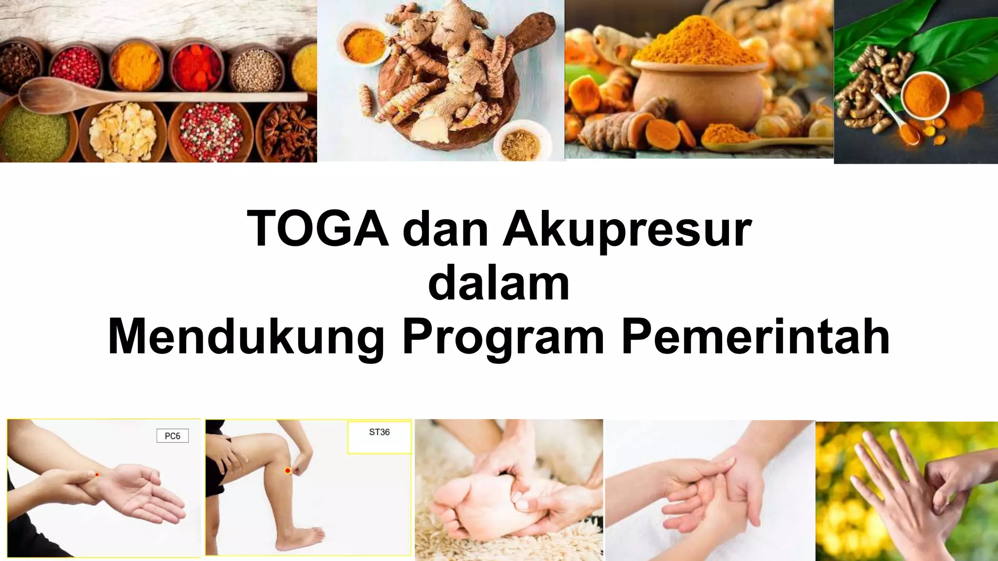 2. Pemanfaatan TOGA.pptx