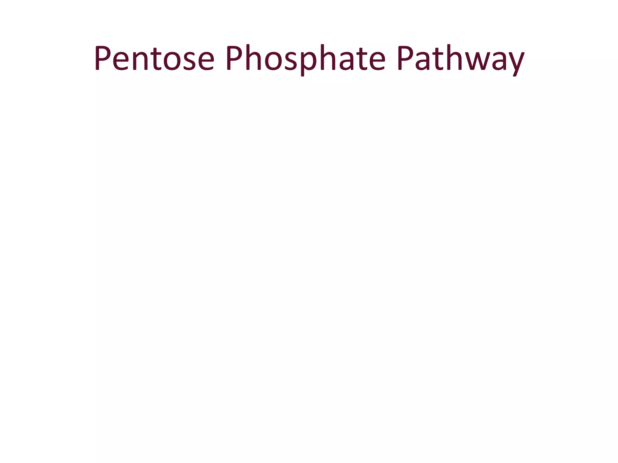 2.2 pentose and uronic pathway.pptx