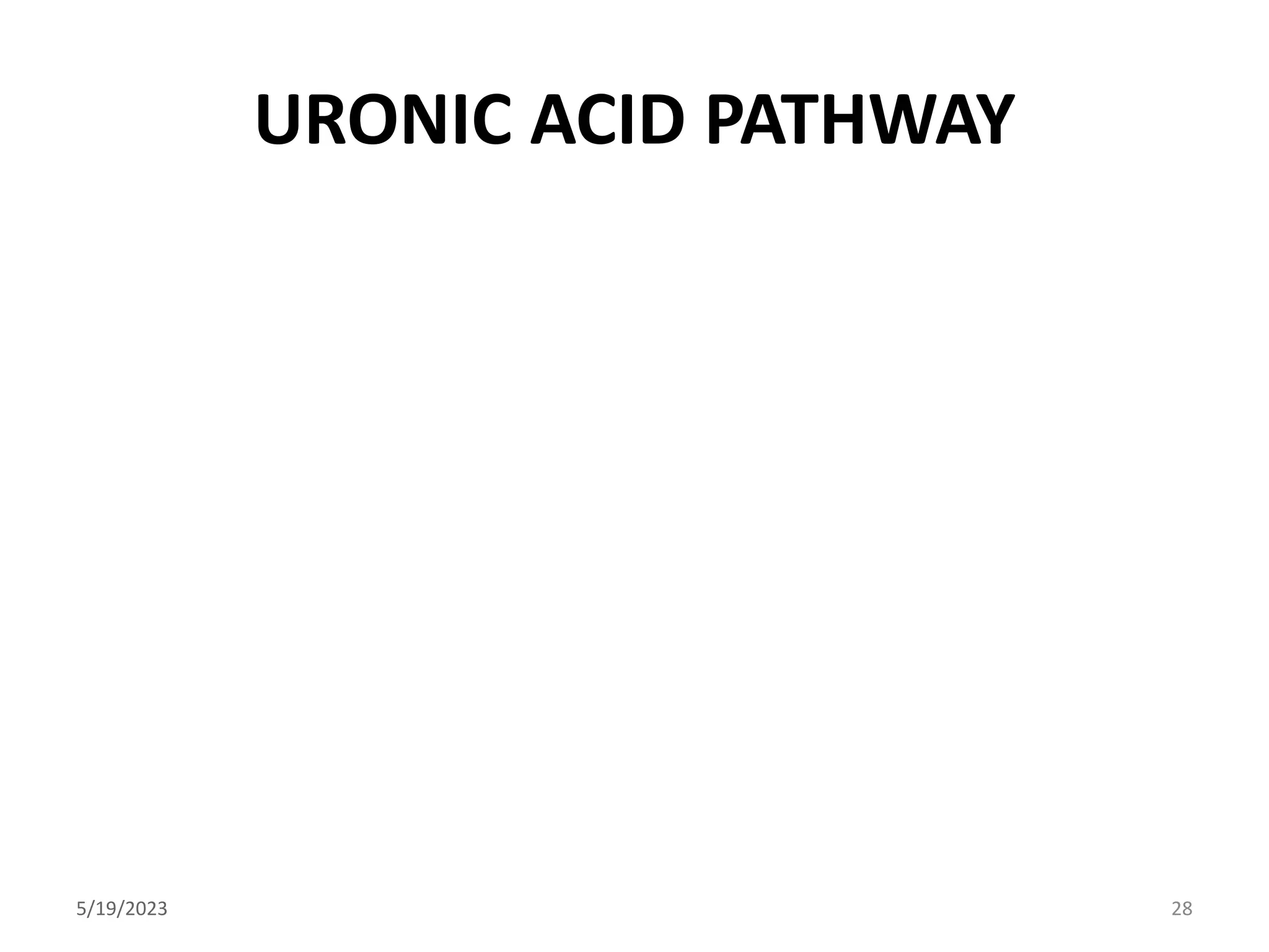 2.2 pentose and uronic pathway.pptx