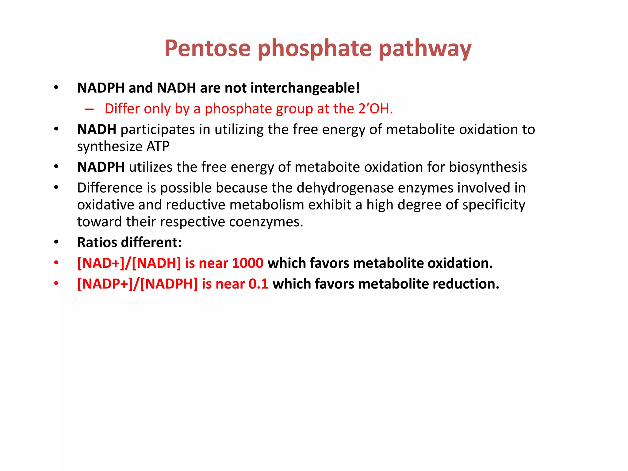 2.2 pentose and uronic pathway.pptx