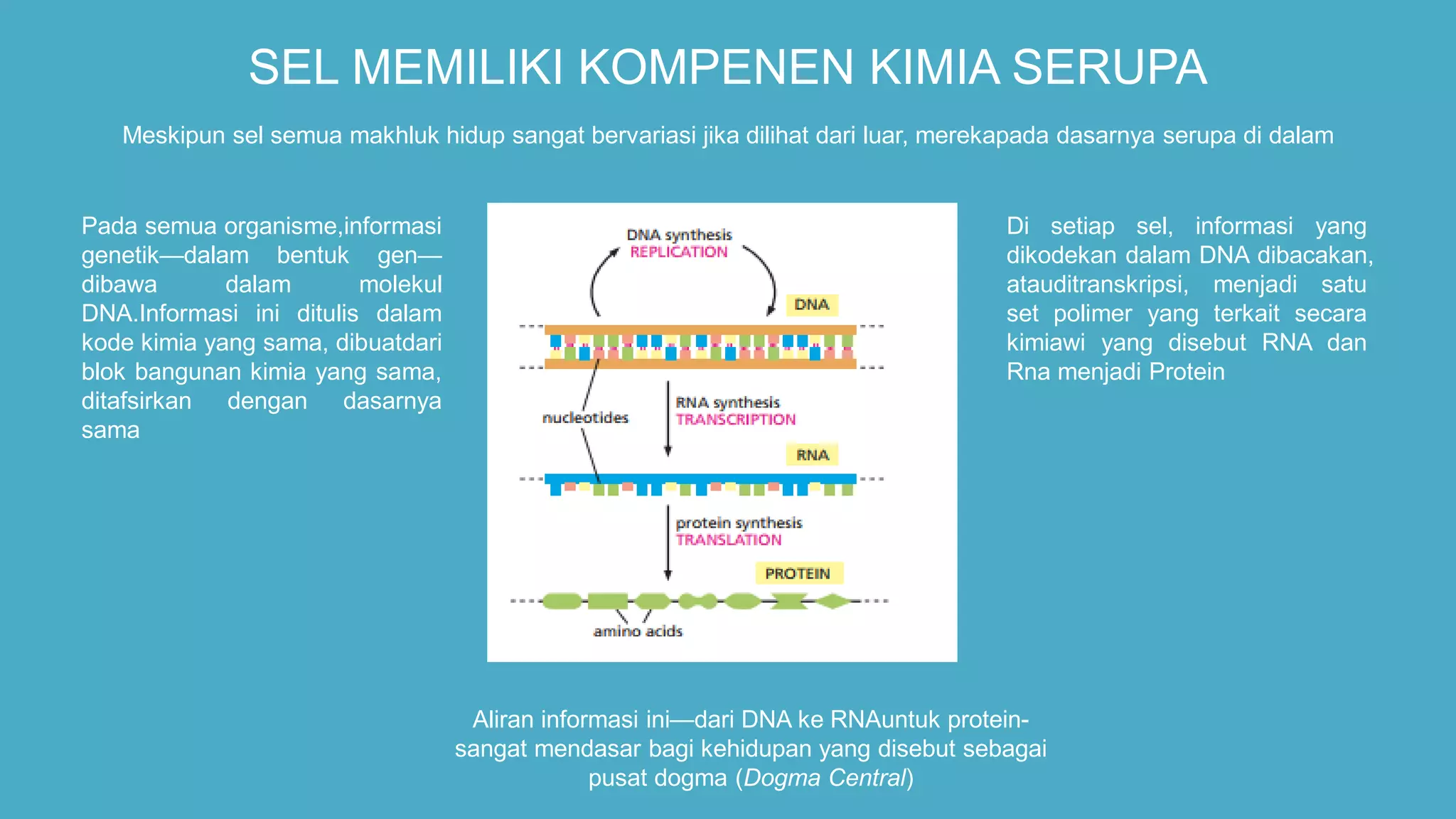 2. TEKNIK MEMPELAJARI SEL.pdf
