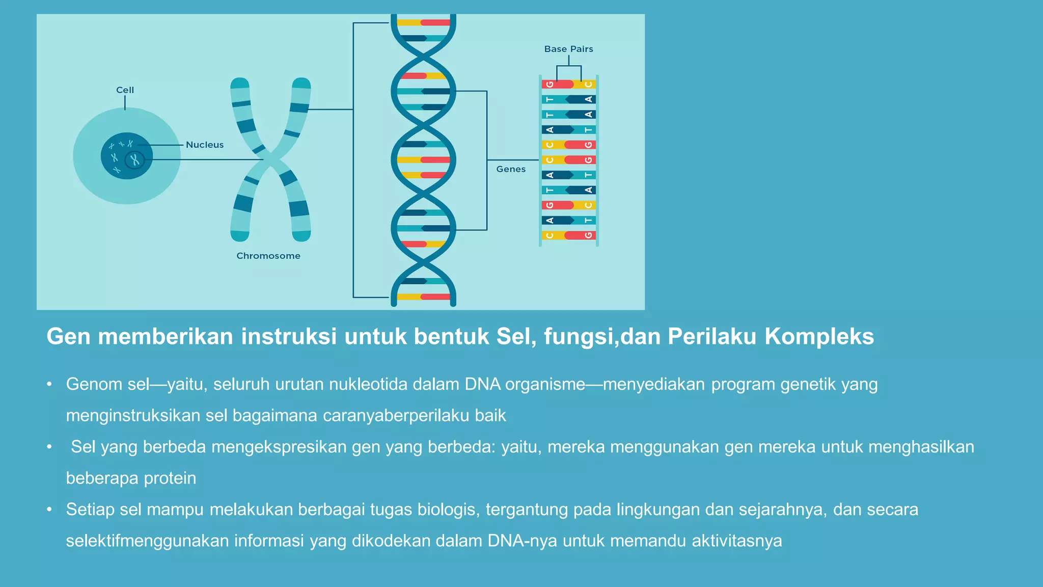 2. TEKNIK MEMPELAJARI SEL.pdf
