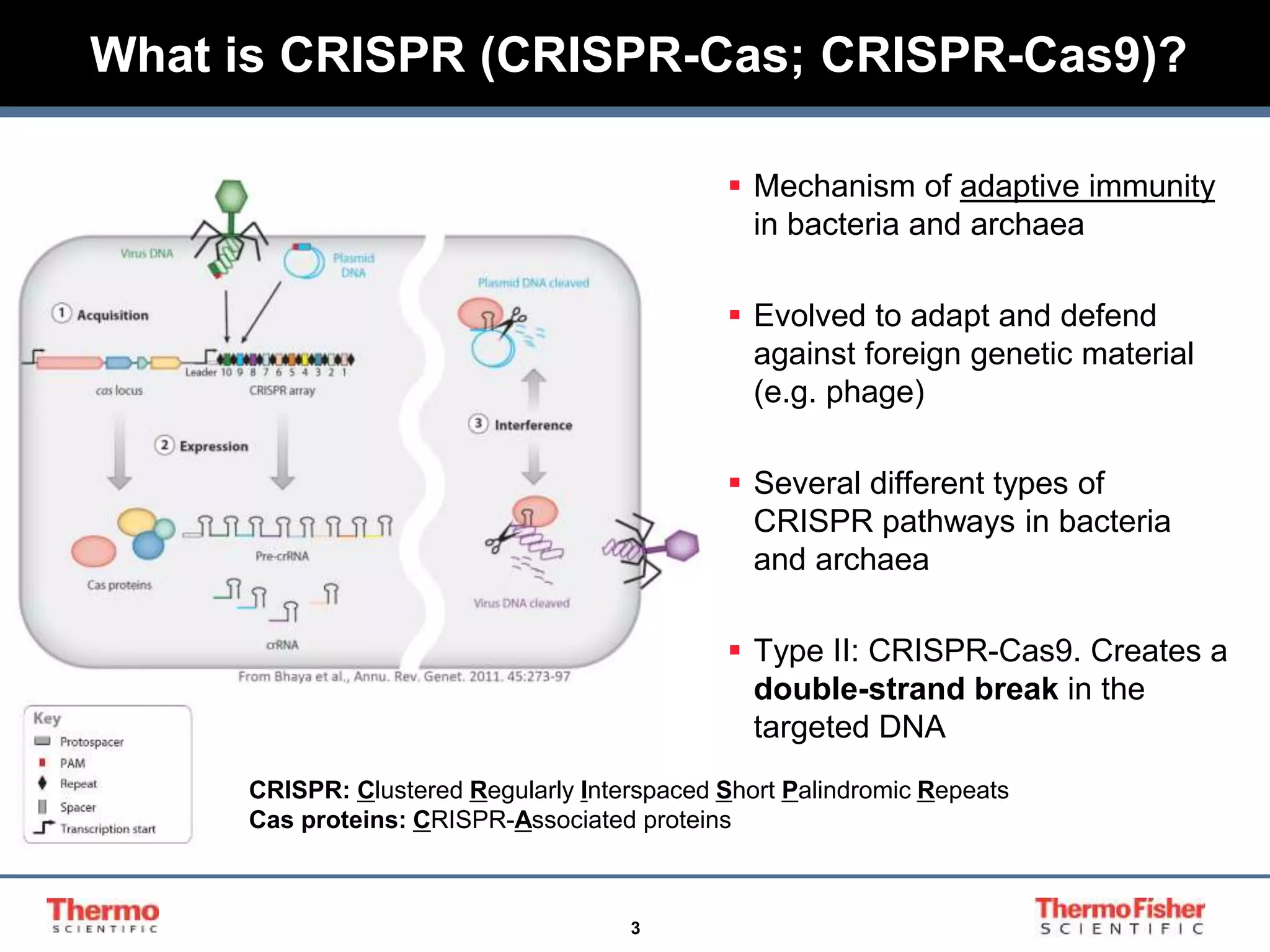 2.CRISPR .pptx