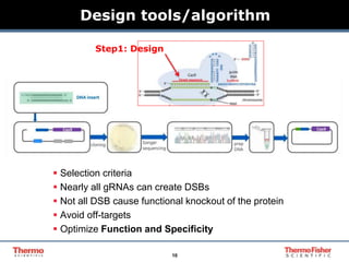 2.CRISPR .pptx