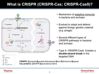 2.CRISPR .pptx