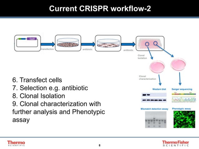 2.CRISPR .pptx