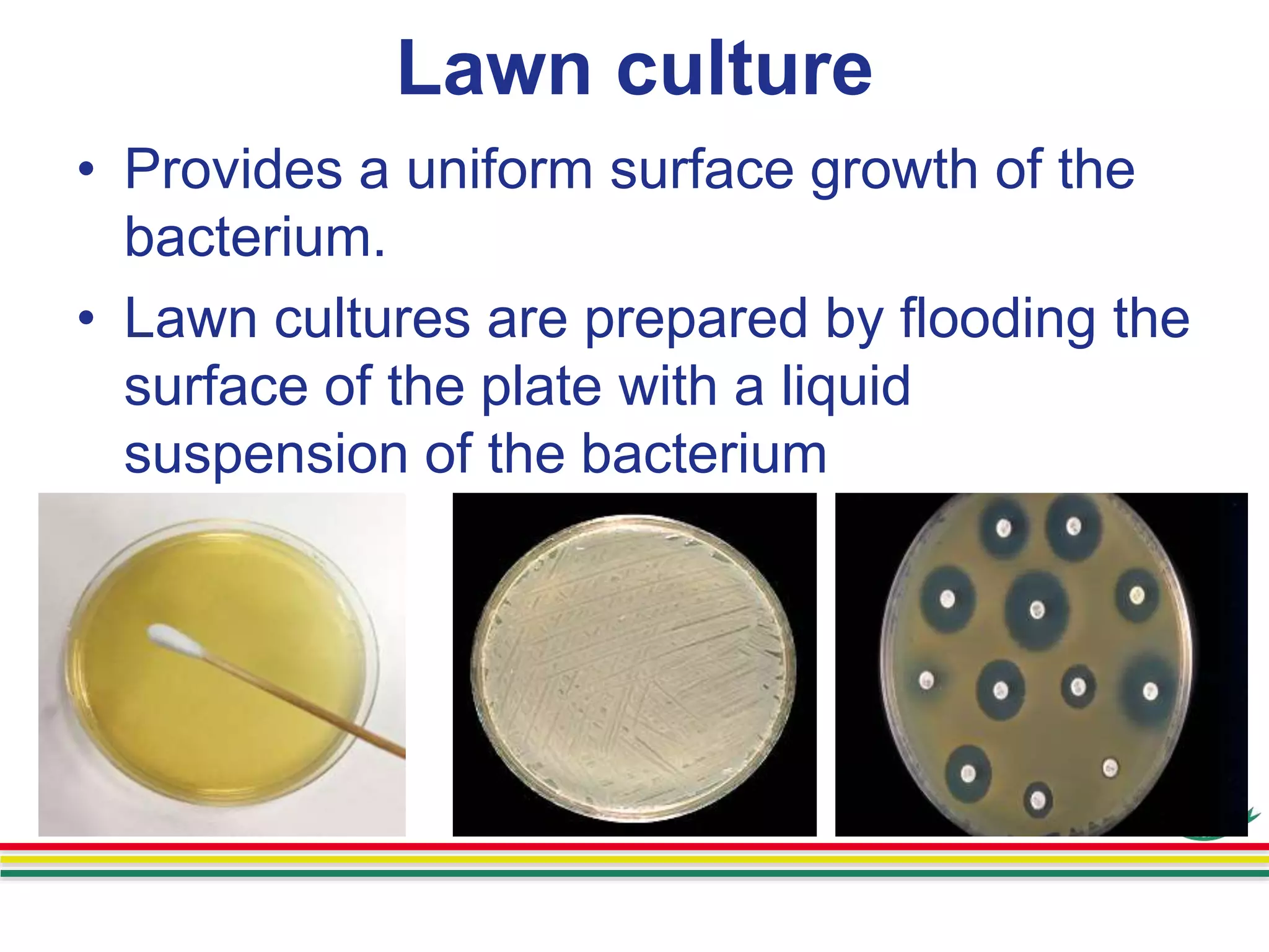2. Bacteriological culture media and cultivation of bacteria.pptx