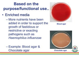 2. Bacteriological culture media and cultivation of bacteria.pptx
