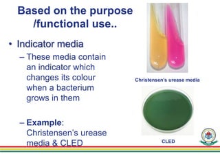 2. Bacteriological culture media and cultivation of bacteria.pptx