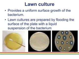 2. Bacteriological culture media and cultivation of bacteria.pptx