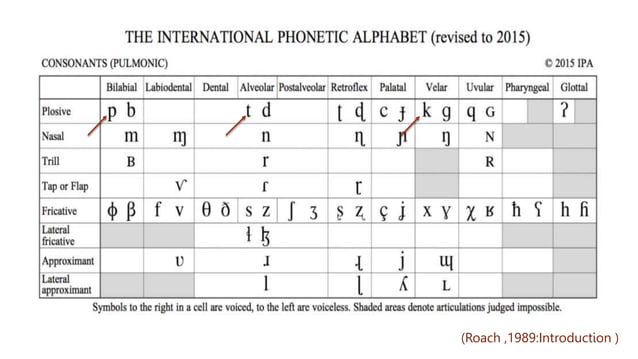 Aspiration and Glottalisation | PPTX