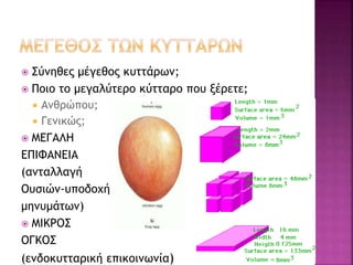2.pptx