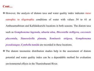 Distribution and Ecology of Diatoms | PPT
