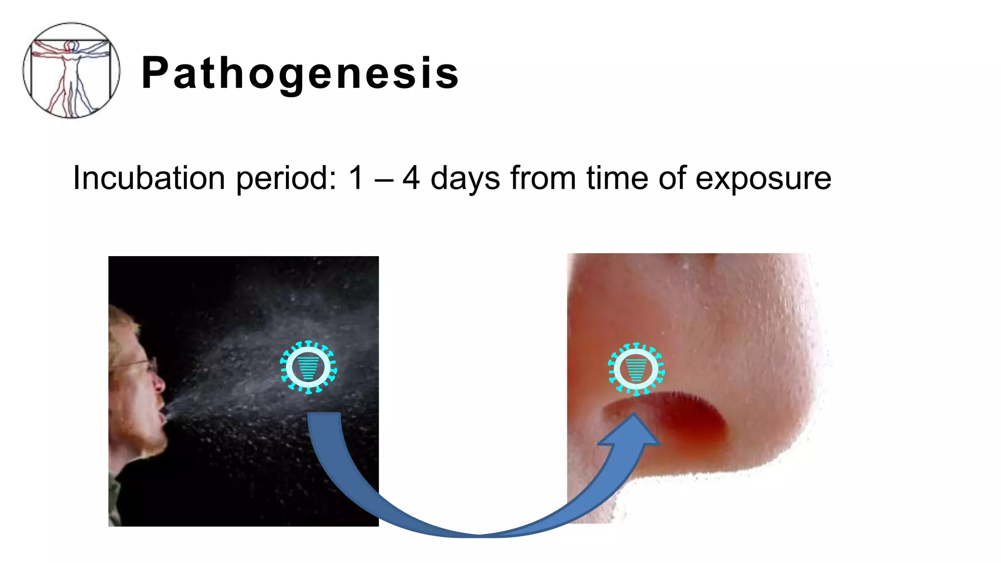 2. Influenza - Pathogenesis and Clinical manifestations.pptx