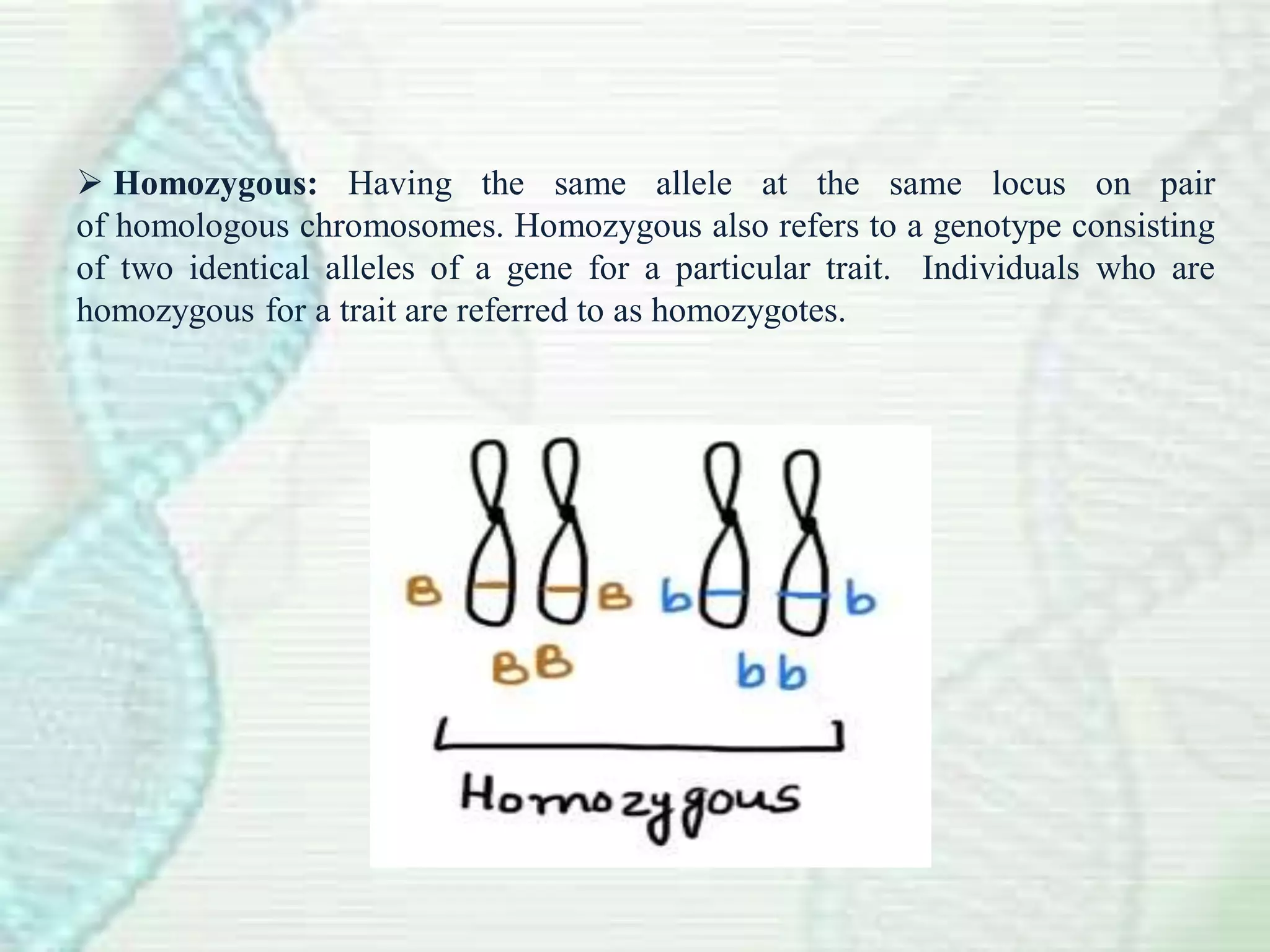 Mendelian inheritance | PDF