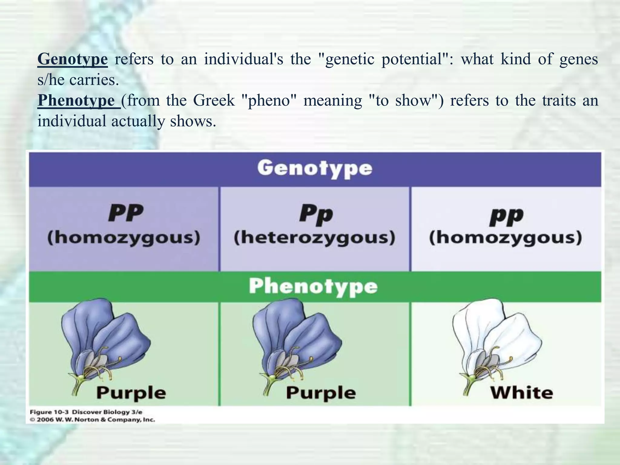 Mendelian inheritance | PDF