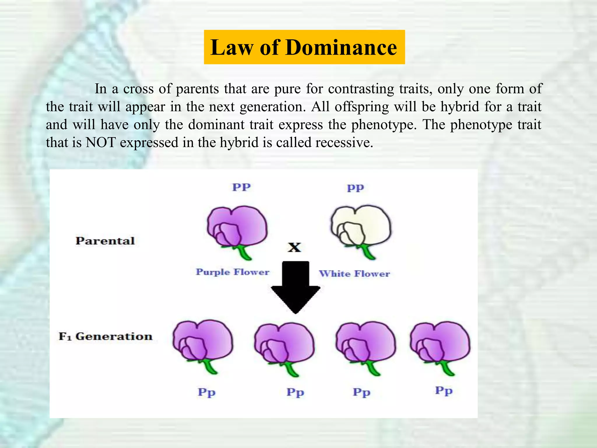 Mendelian inheritance | PDF
