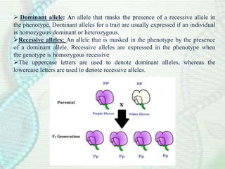Mendelian inheritance | PDF