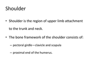 2. upper limb (1).pdf