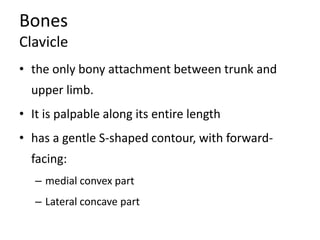 2. upper limb (1).pdf