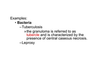 2.Chronic and Granulomatous Inflammation by Dr Mgaya.ppt