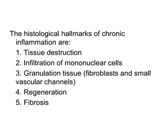 2.Chronic and Granulomatous Inflammation by Dr Mgaya.ppt