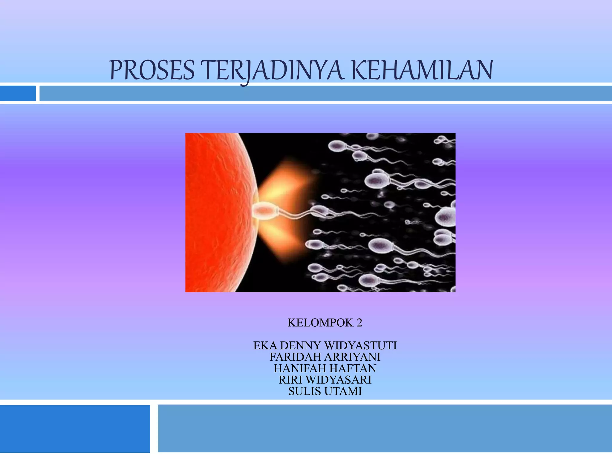 PROSES KEHAMILAN.pptx