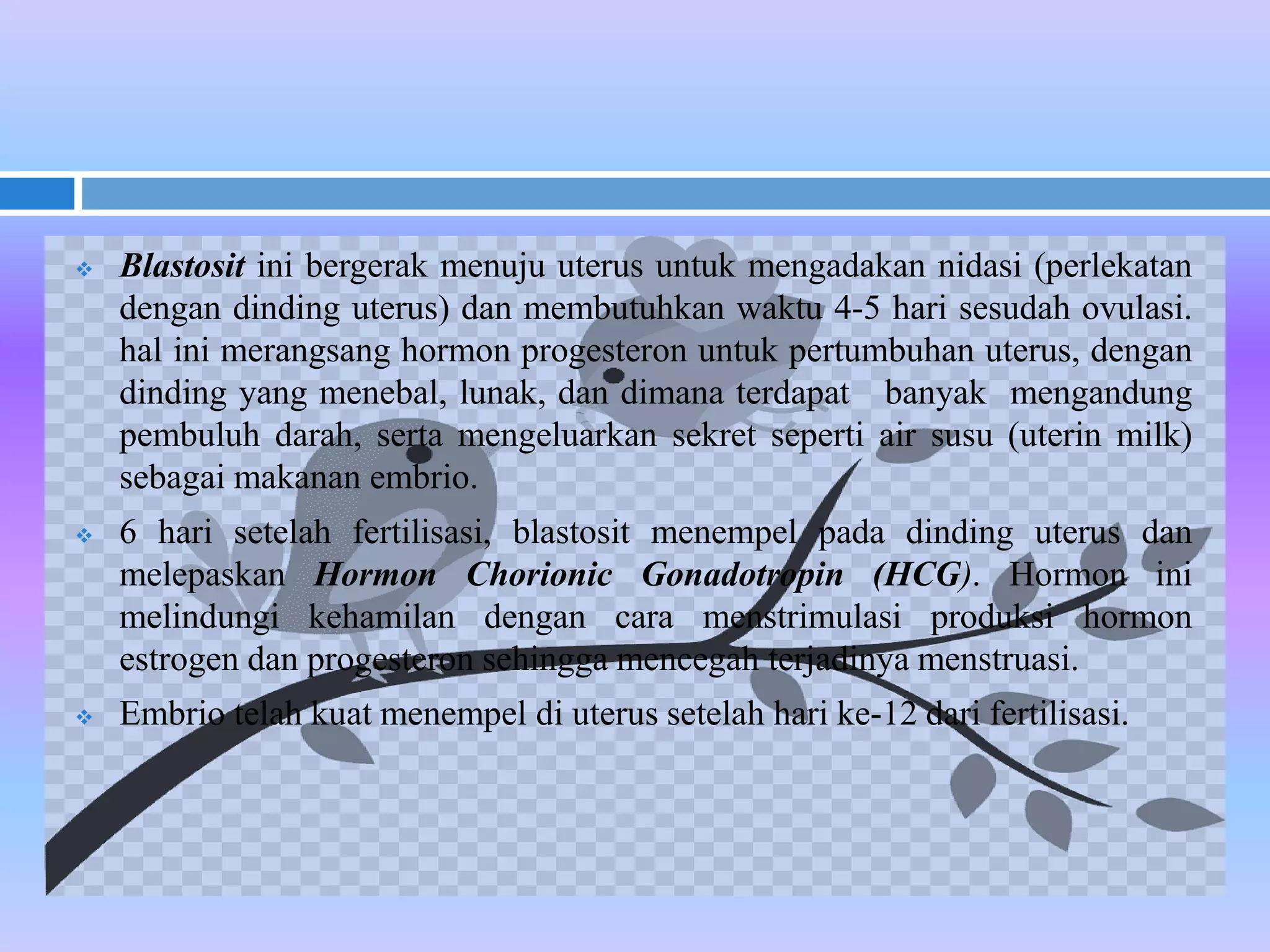 PROSES KEHAMILAN.pptx