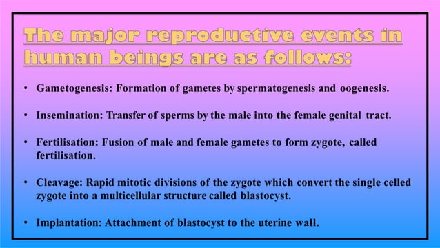 2. Human reproduction.pptx | Infertility | Reproductive Health