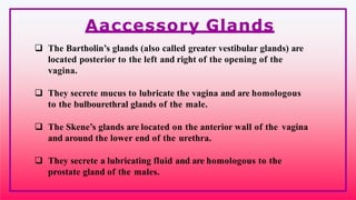 2. Human reproduction.pptx