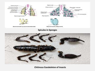 Support and Movement.pptx