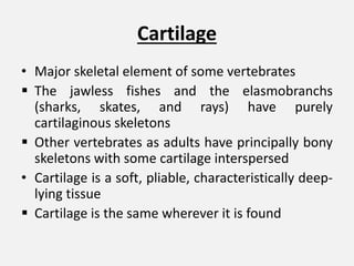 Support and Movement.pptx