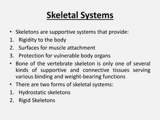 Support and Movement.pptx