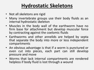 Support and Movement.pptx