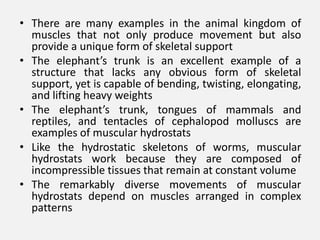 Support and Movement.pptx