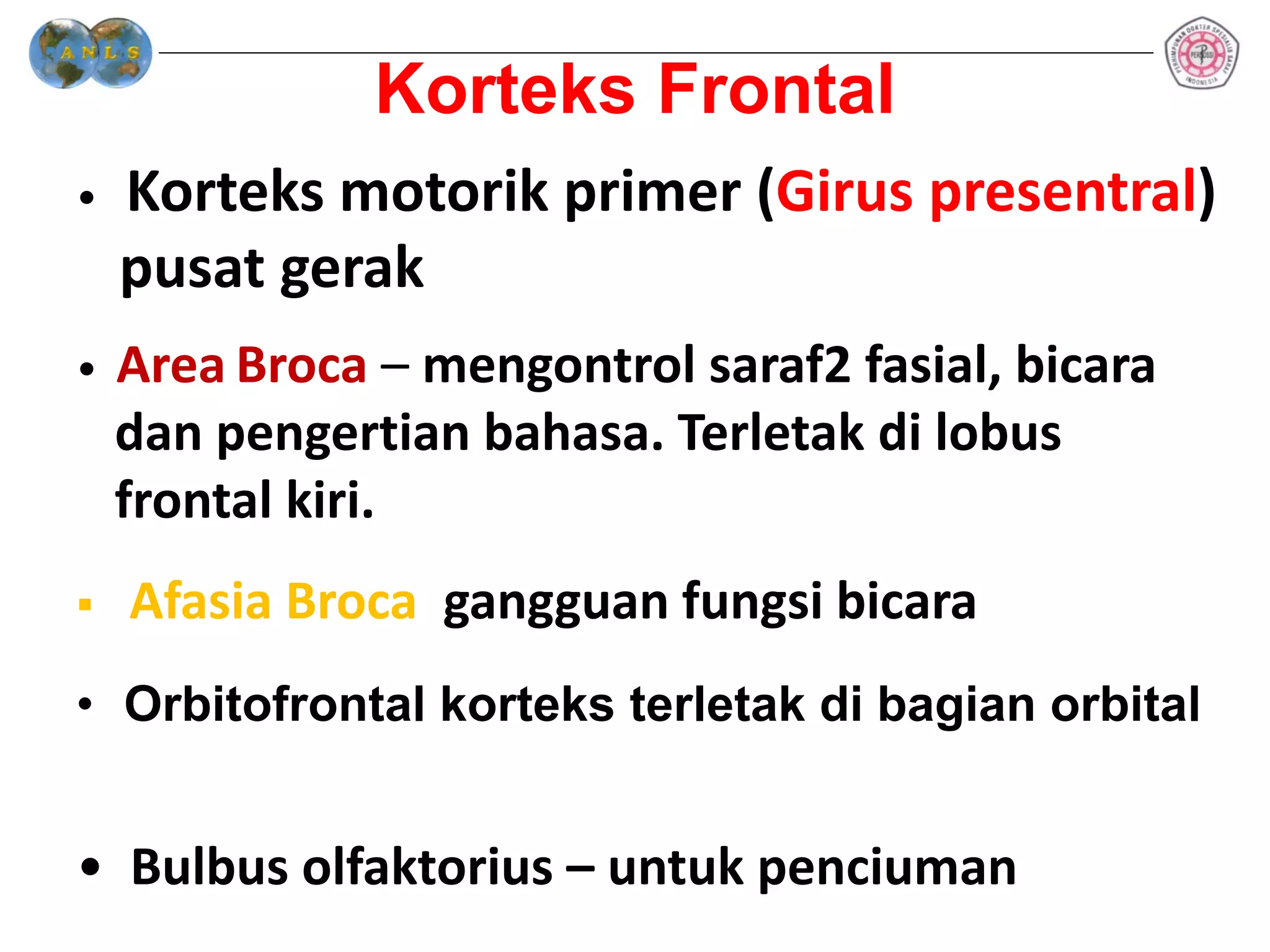 2. ANATOMI FISIOLOGI REVISI.pdf