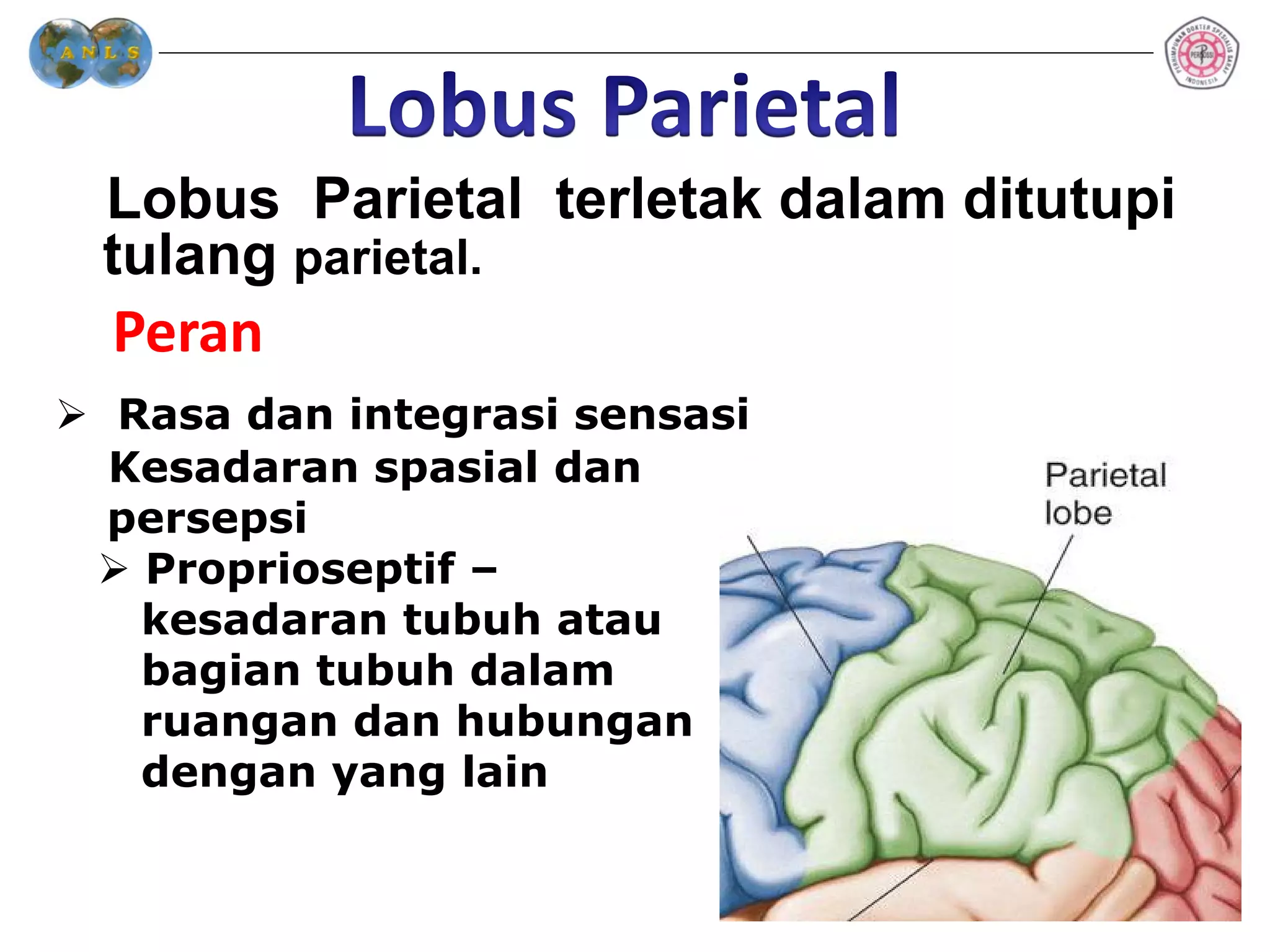 2. ANATOMI FISIOLOGI REVISI.pdf