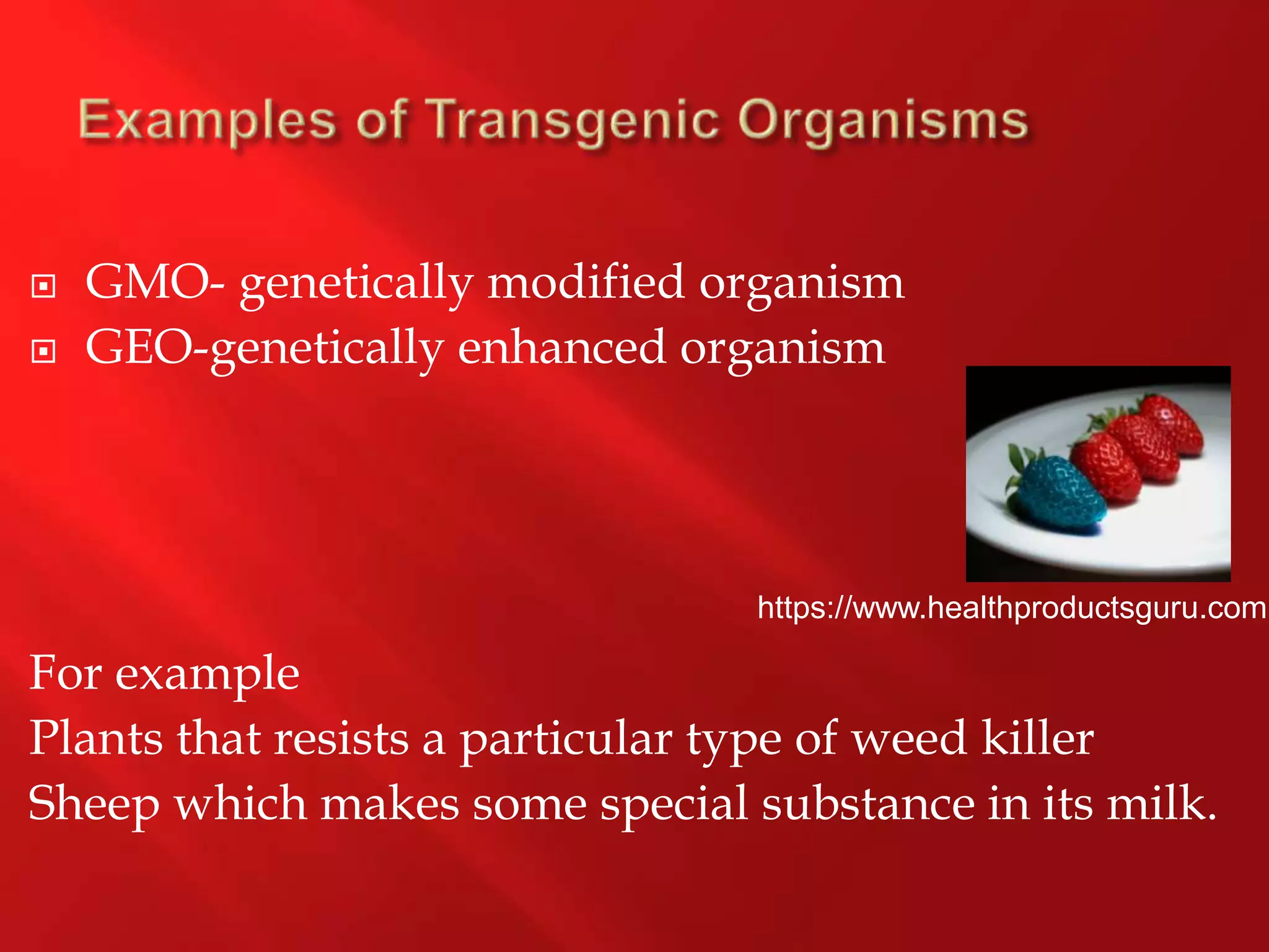 Genetic Engineering.pptx