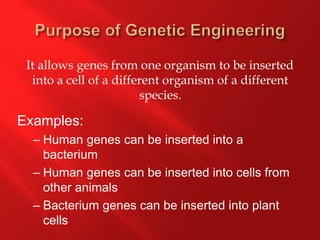 Genetic Engineering.pptx