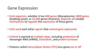 2. Gene to Protein.pptx