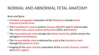 2. Fetal Imaging.pptx