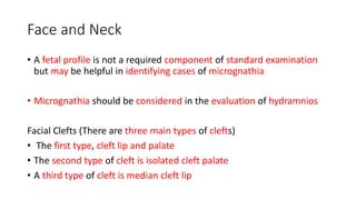 2. Fetal Imaging.pptx