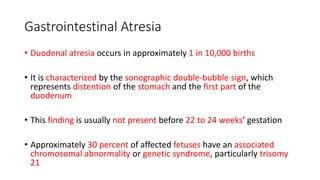 2. Fetal Imaging.pptx
