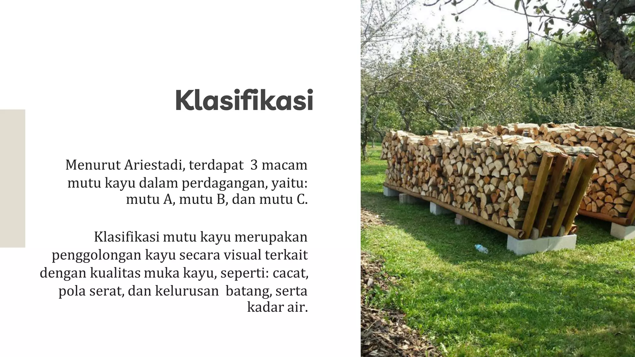 2. Mutu dan Jenis Kayu.pdf