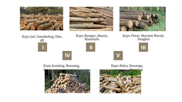 2. Mutu dan Jenis Kayu.pdf